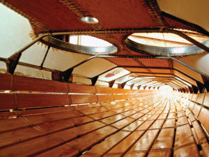 George Dyson: From Tree House to Turing’s Cathedral – AdventuresNW