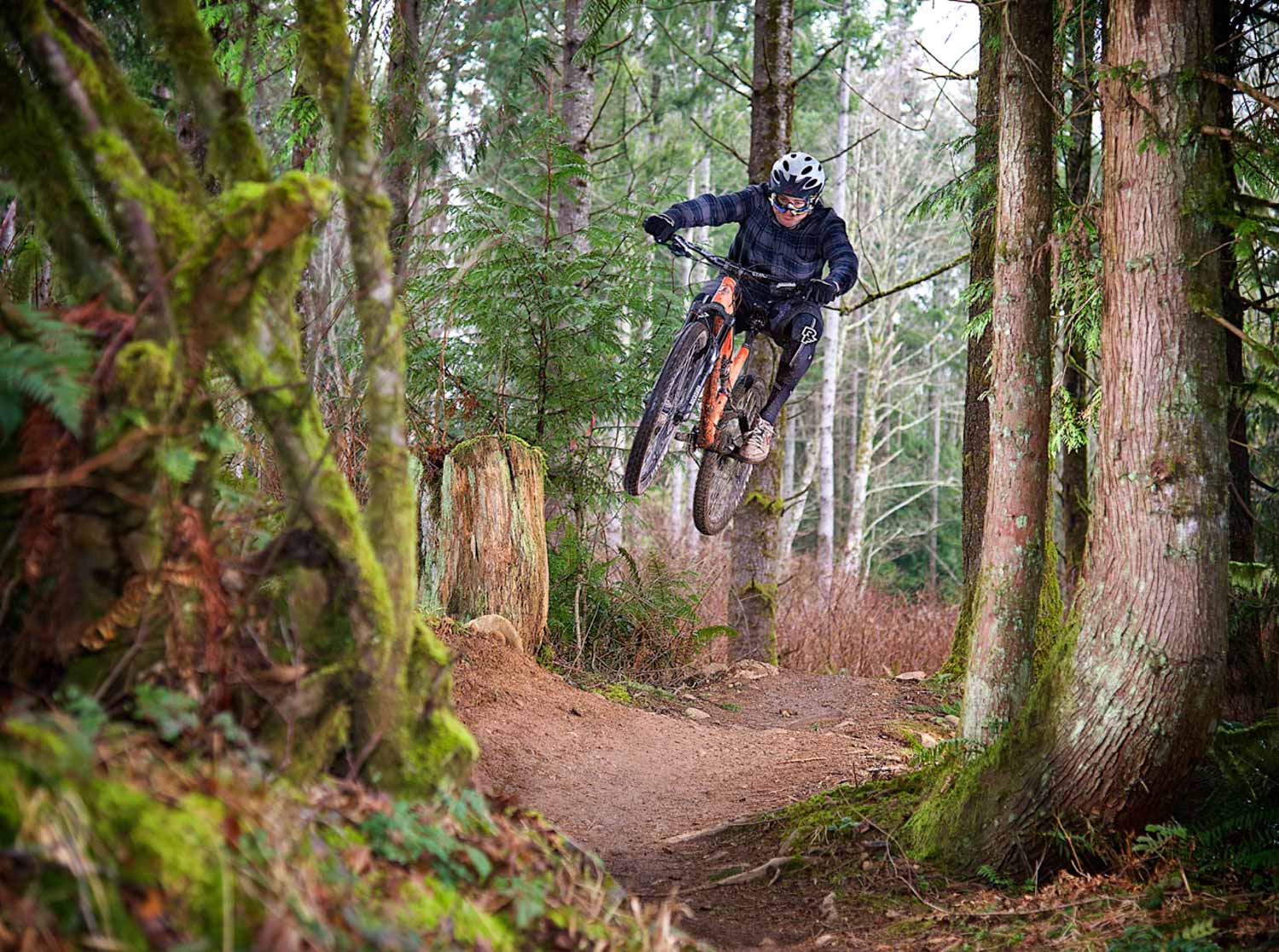 Galbraith’s Best Trails: Whatcom Mountain Bike Coalition’s Top Ten ...