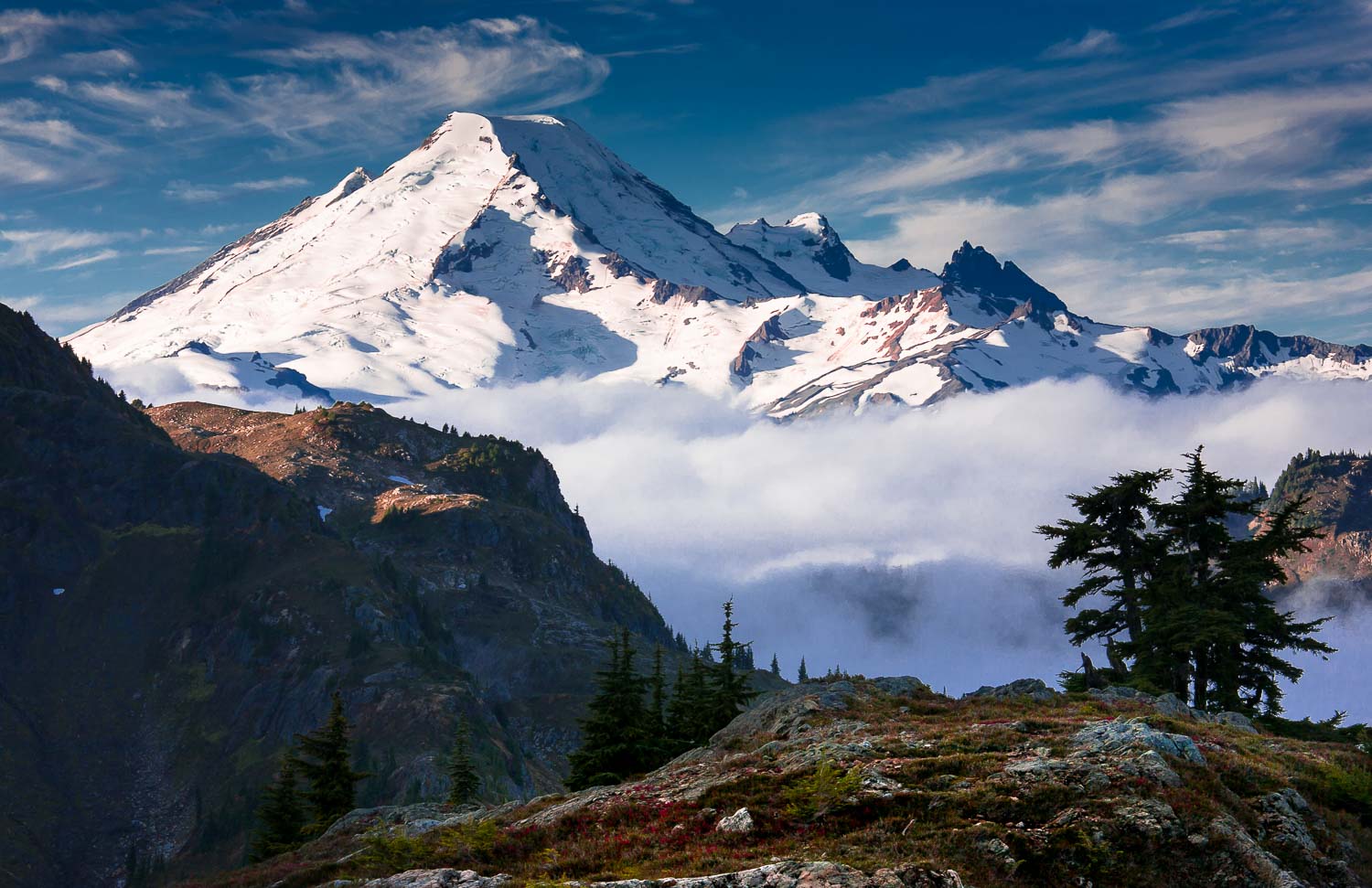 Mt. Baker’s Best Hikes: Five Unforgettable Trails – AdventuresNW