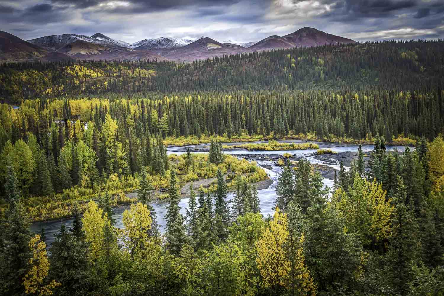 Alaskan Autumn: Alone in the North – AdventuresNW