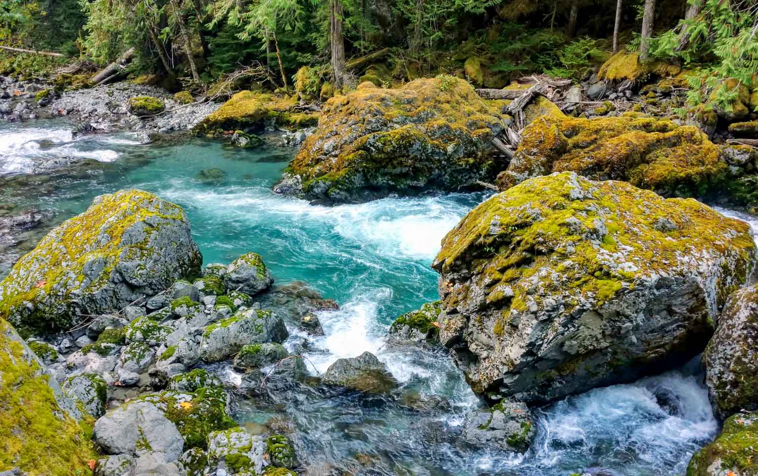 The Immersion – AdventuresNW